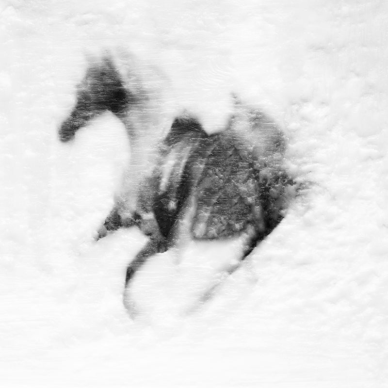 COMMISSIONS – Emily Hancock Art