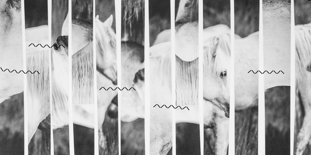 She Could Have Run: A New Limited Edition Art Collection by Emily Hanc ...